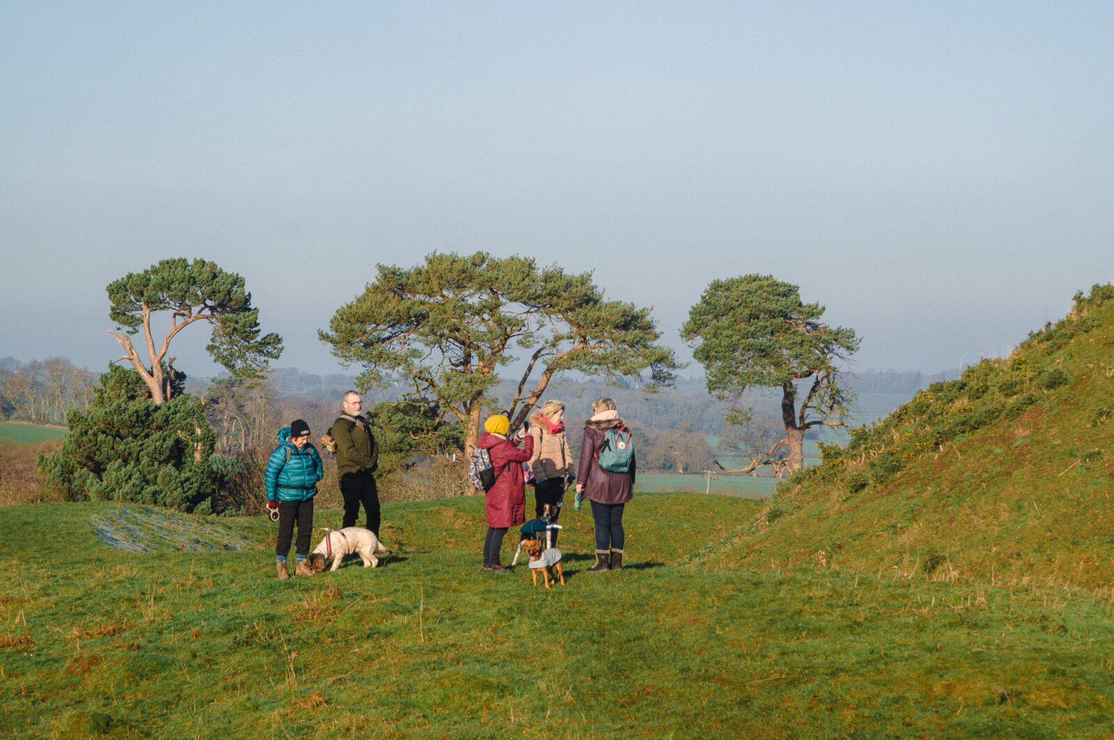 Legacies - Friends of the Quantocks