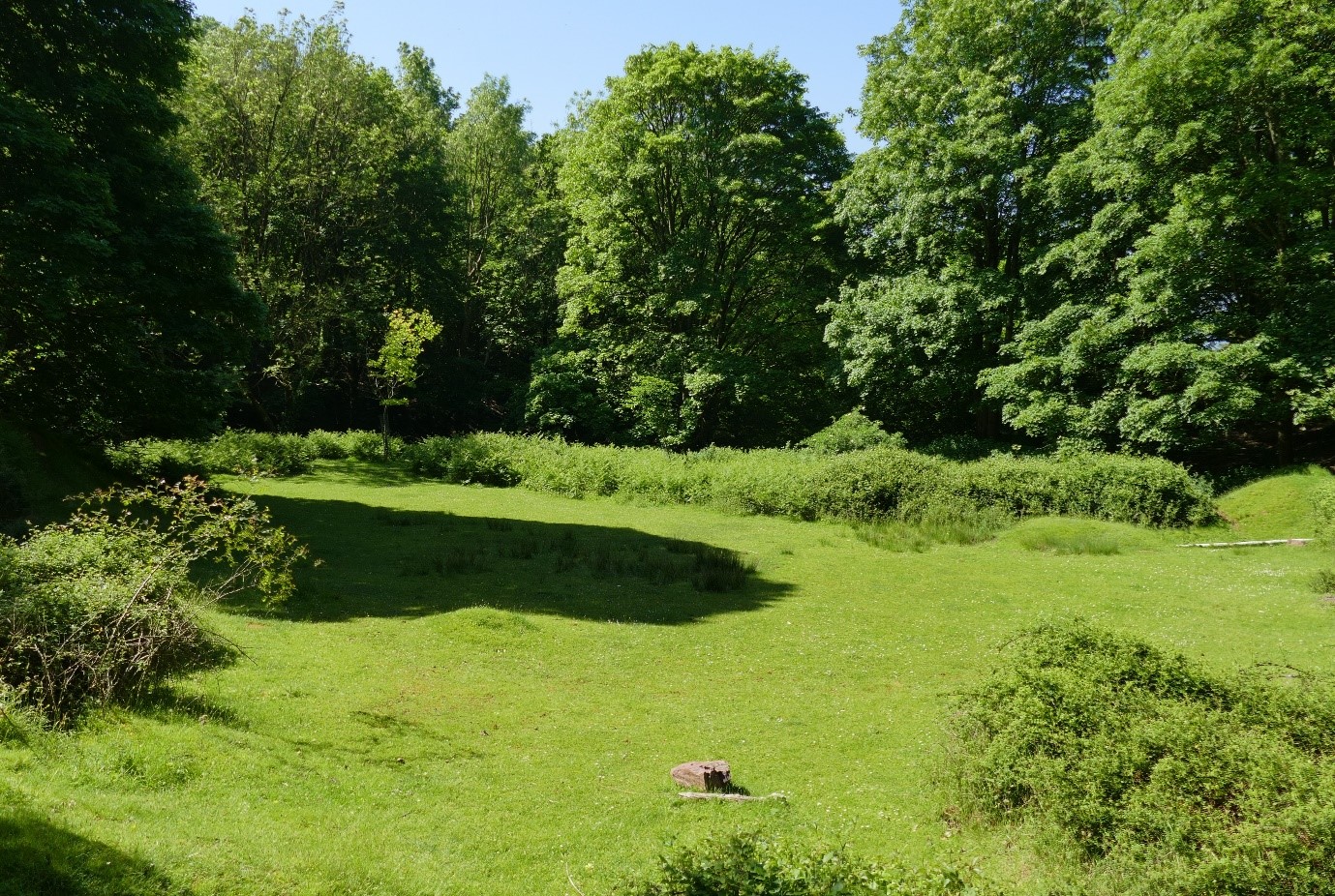 Basking at Bicknoller - Friends of the Quantocks